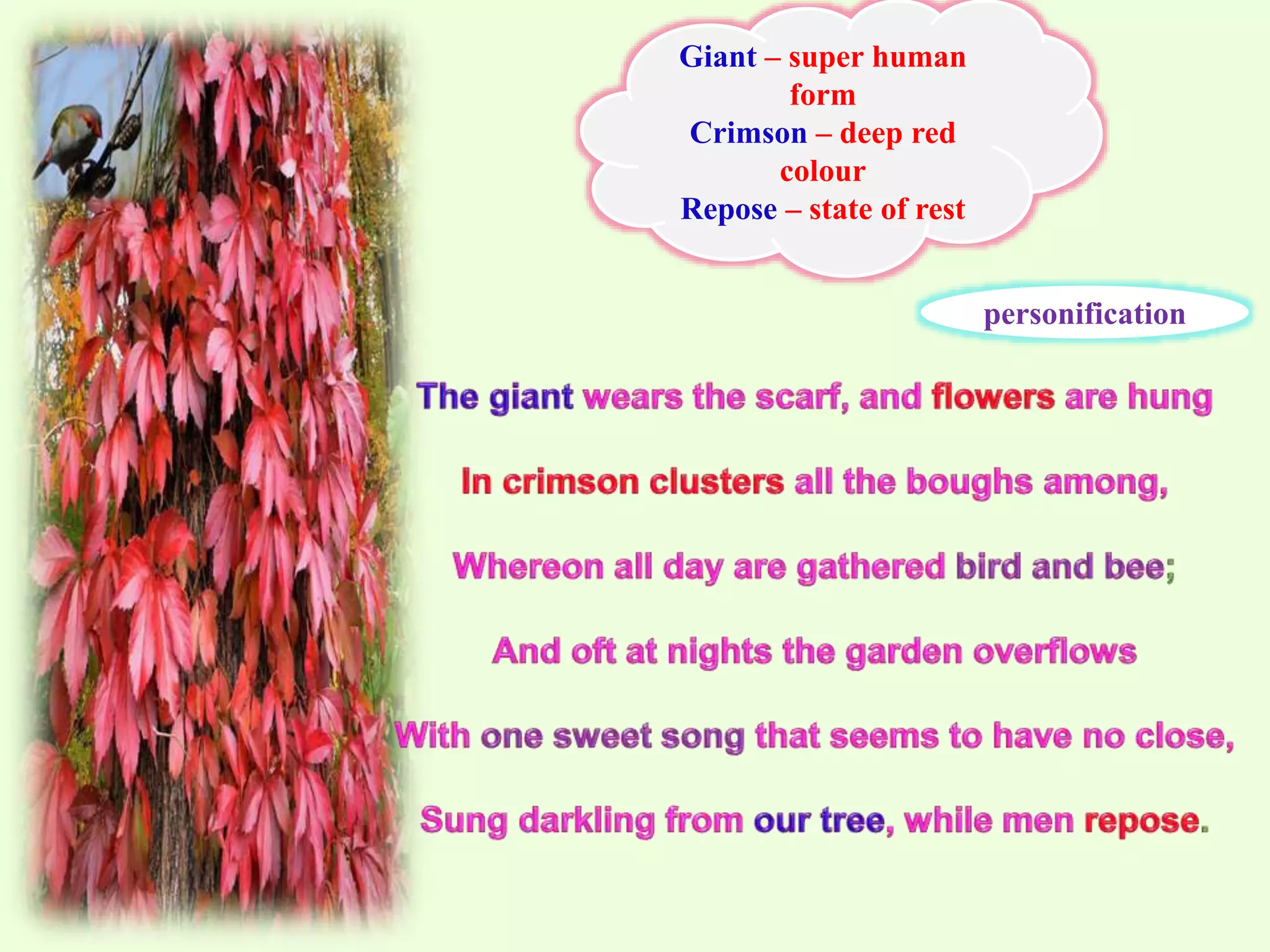 OUR CASUARINA TREE - TORU DUTT BY ROBYHEP | PPTX