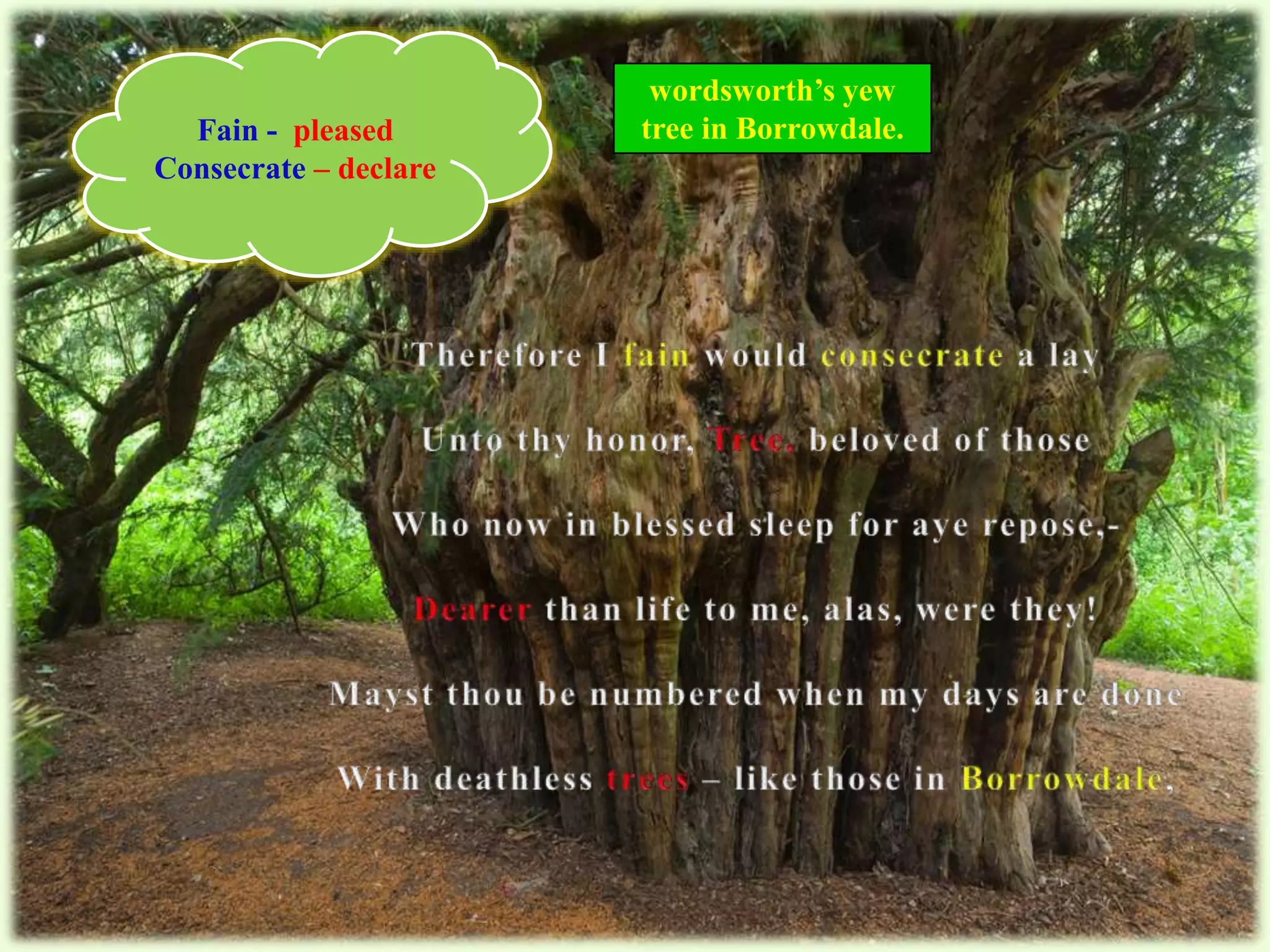 OUR CASUARINA TREE - TORU DUTT BY ROBYHEP | PPTX