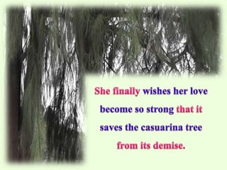 OUR CASUARINA TREE - TORU DUTT BY ROBYHEP | PPTX