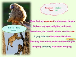 OUR CASUARINA TREE - TORU DUTT BY ROBYHEP | PPTX