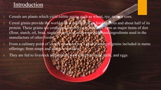 Our cereals | PPT