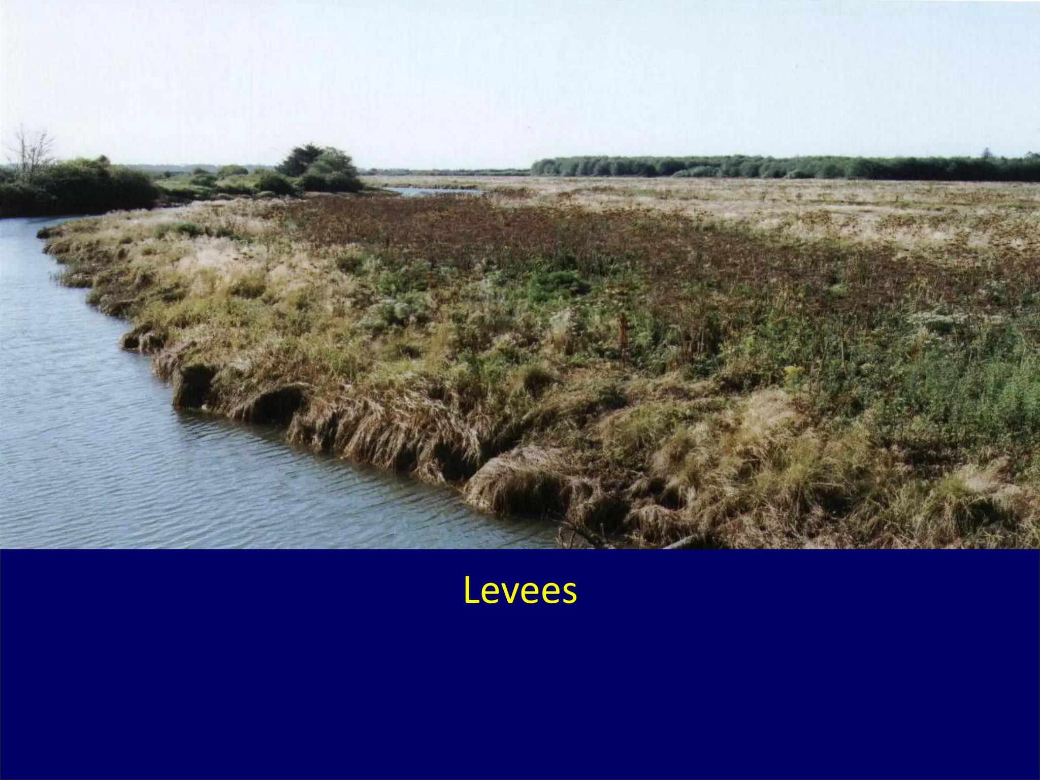 Our Changing Earth (Grade 7) | PPSX