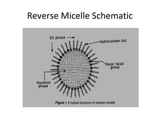 Our chemical route to nanotechnology | PPT