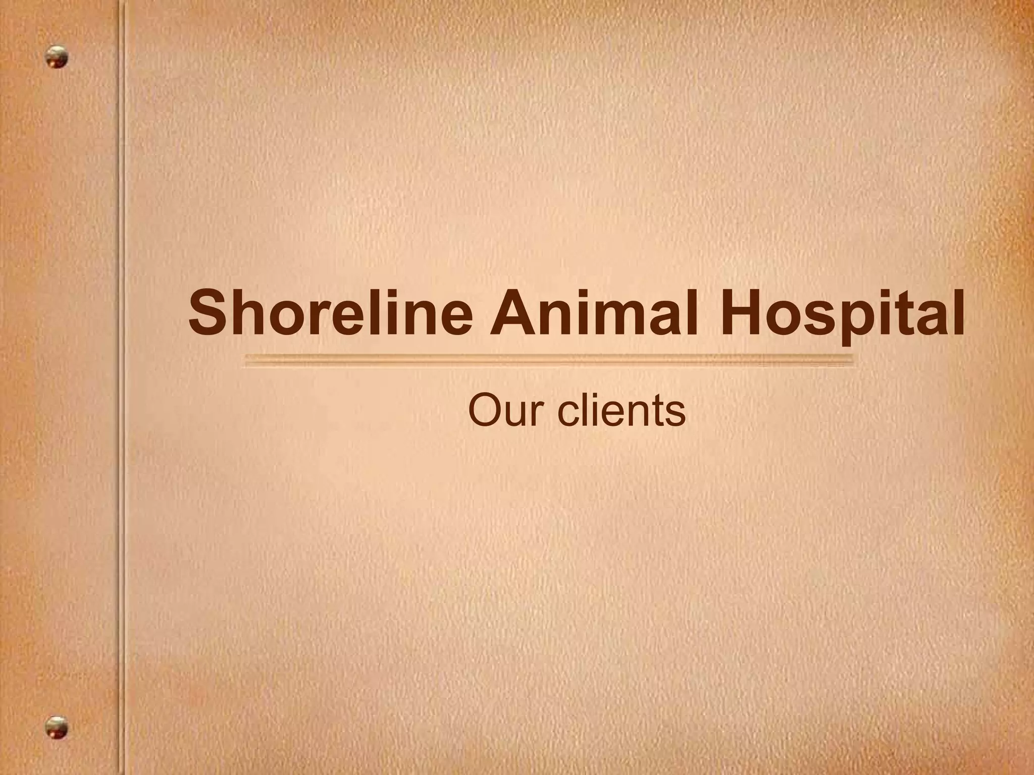 Shoreline Animal Hospital | PPT