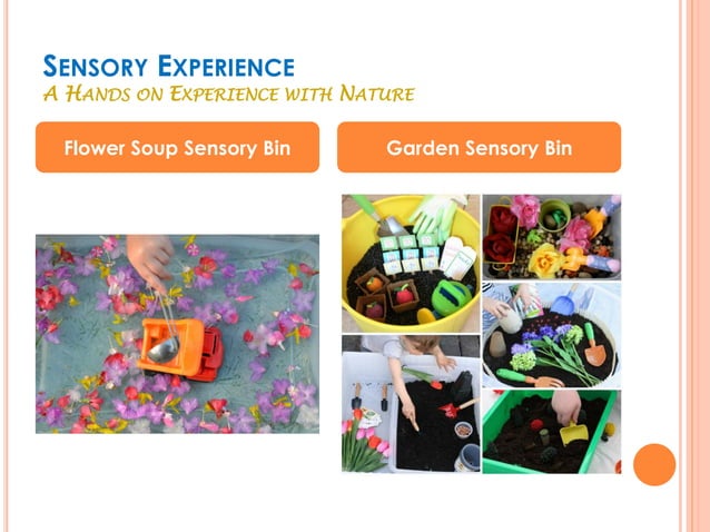 Our collection of Ideas for the month of May | PPT | Free Download