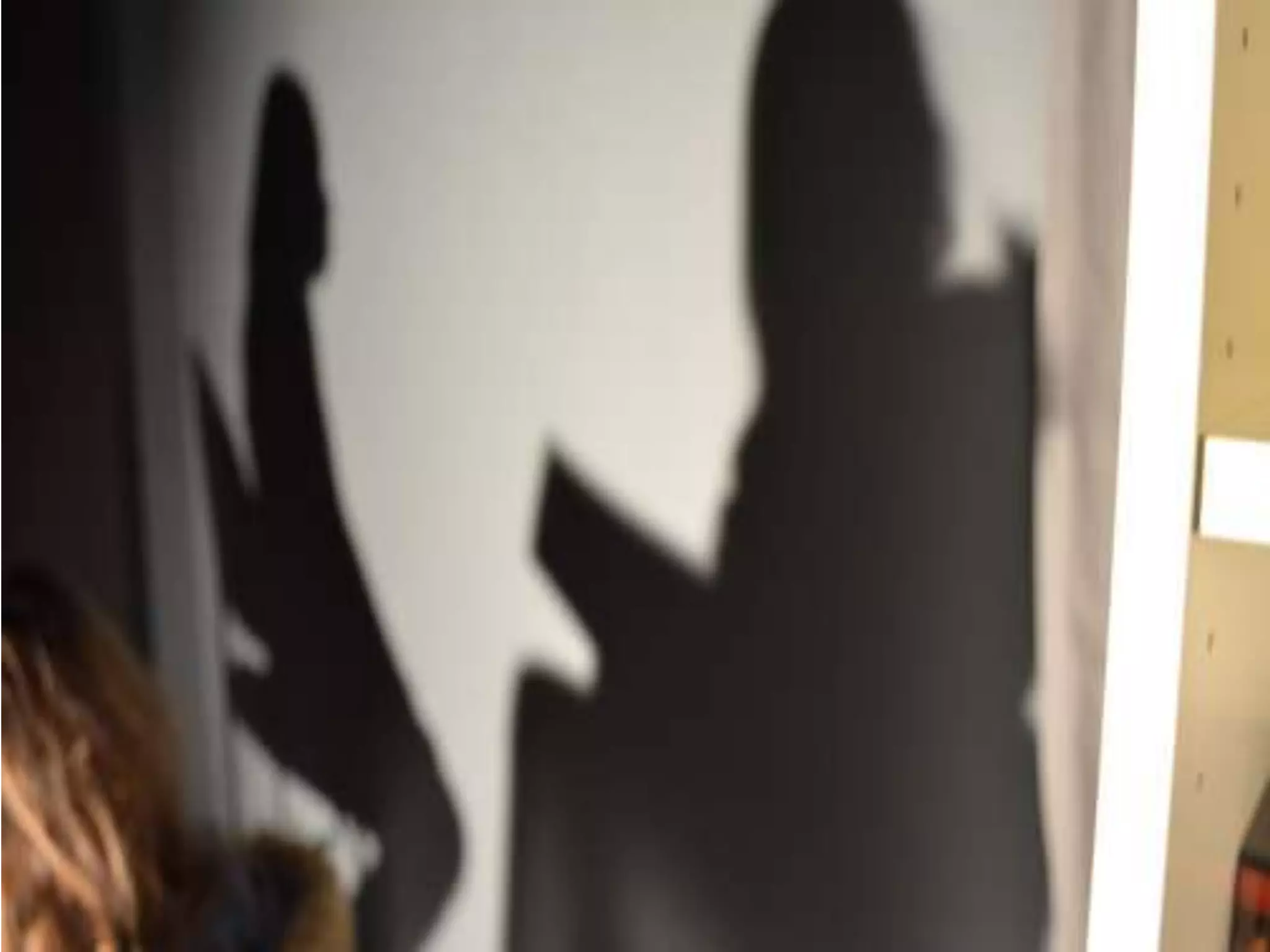 Our creation of shadow shots | PPTX