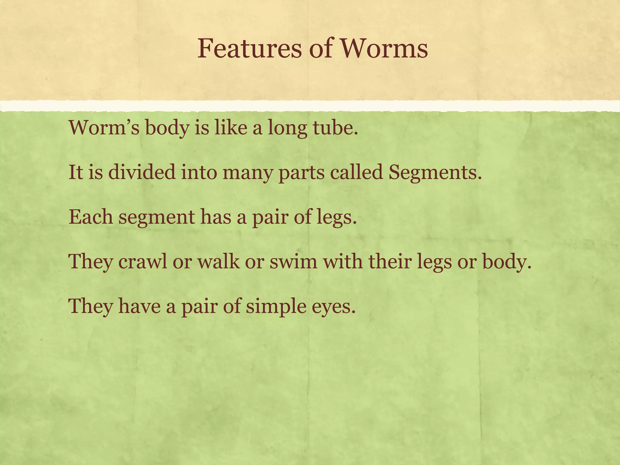 Environmental Science (EVS): Insects (Class III) | PDF