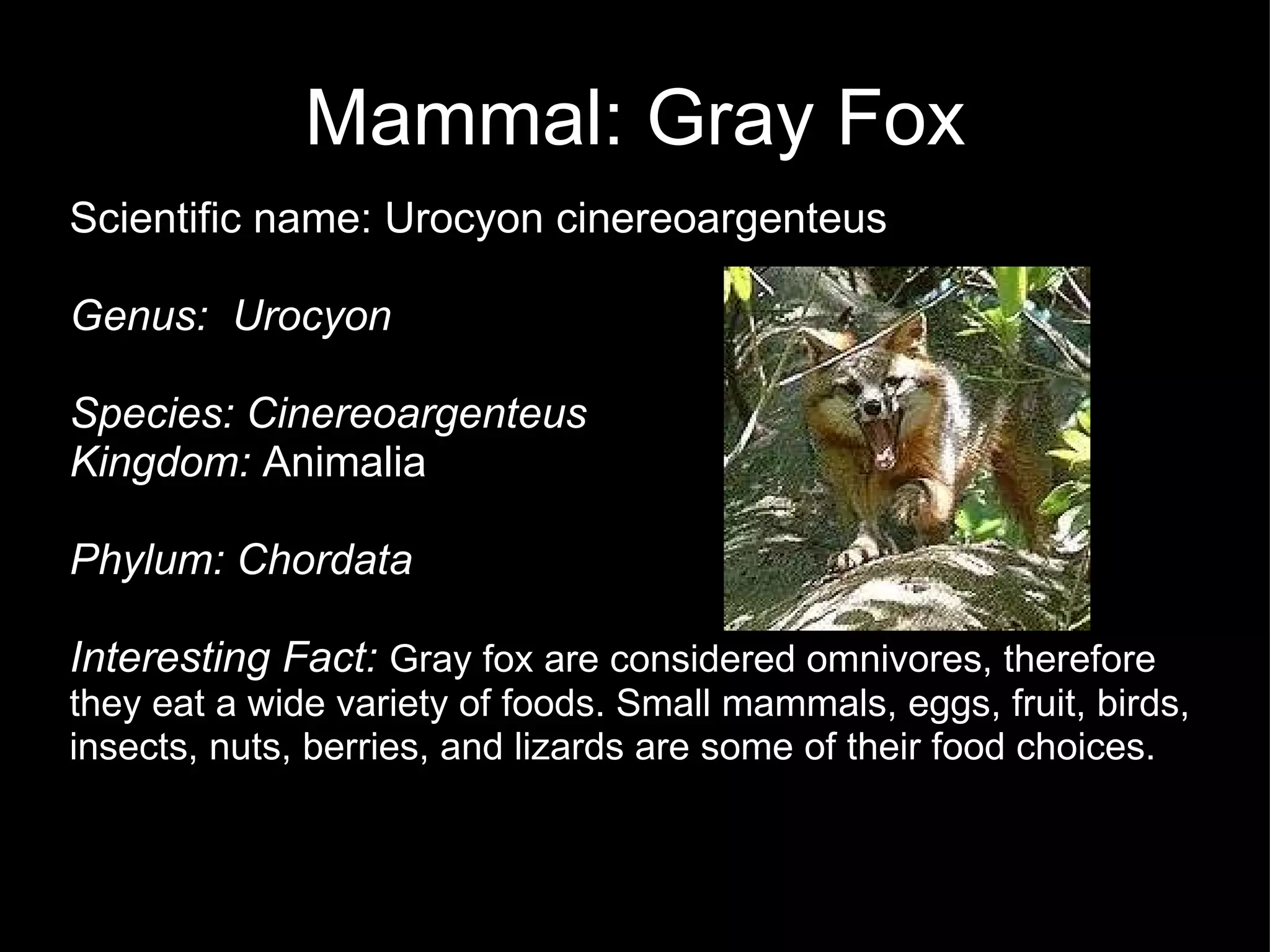 Our digital field_guide_video_for_bio_ | PPT | Reptiles | Pets