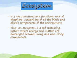 Our enviroment | PPTX