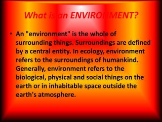 Our environment | PPTX
