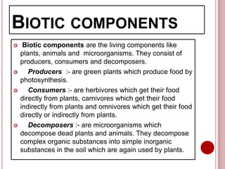 Our environment | PPT