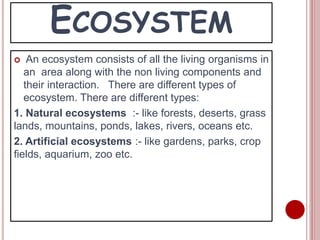 Our environment | PPT