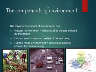 Our environment | PPTX | Geography | Science