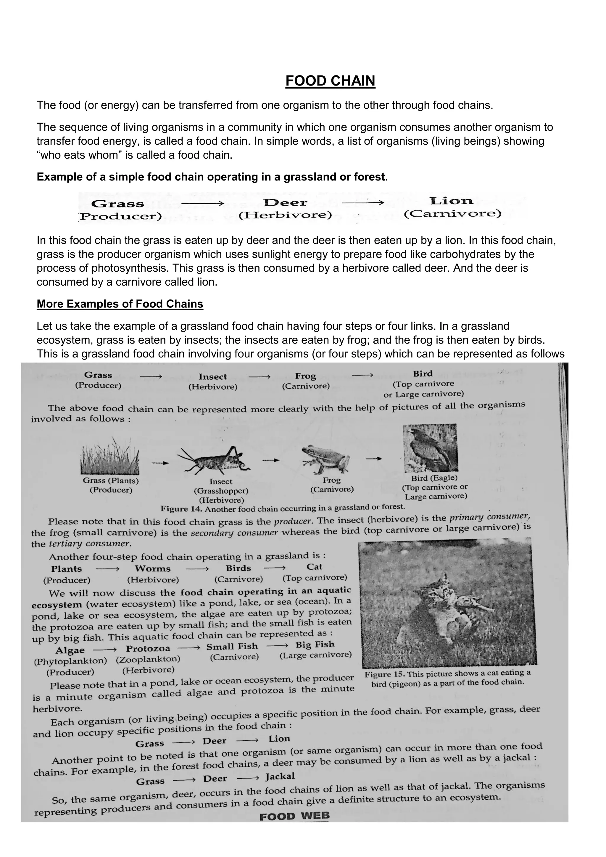 Our environment pdf | PDF | Indoor Environmental Quality | Home & Garden