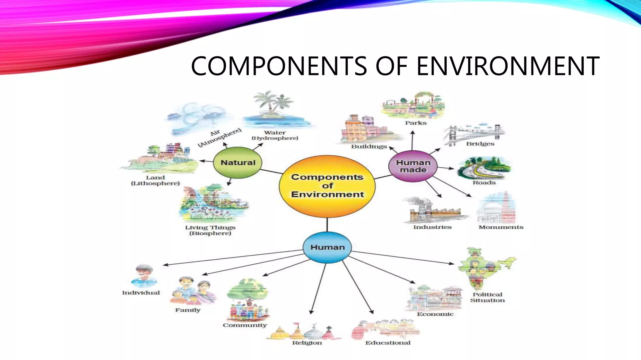 Our environment | PPT