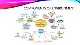 Our environment | PPT