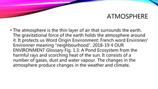 Our environment | PPT