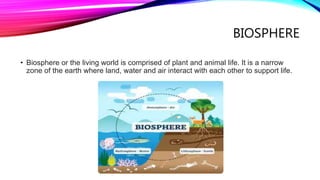 Our environment | PPT