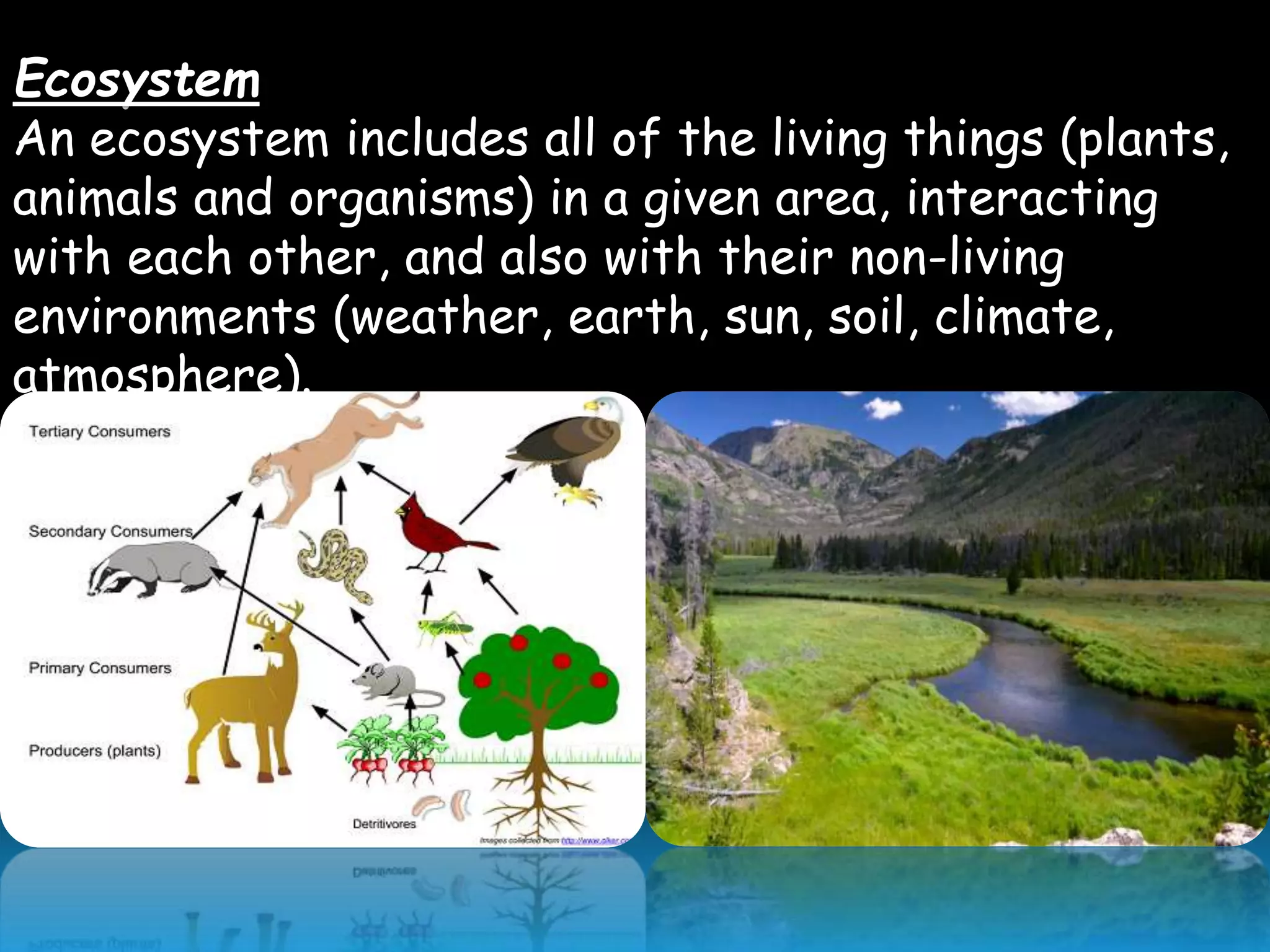 Our environment | PPTX