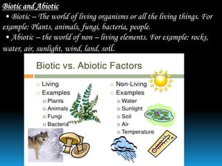 Our environment | PPTX