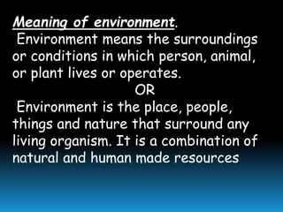Our environment | PPTX