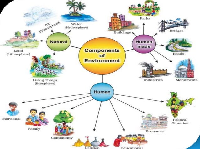 Our environment | PPT