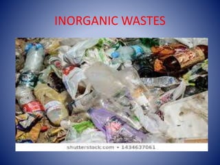 Our environment PPT | PPT