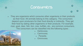 Our environment | PPT