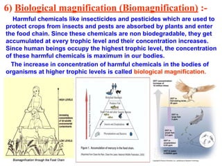 Our environment | PPT