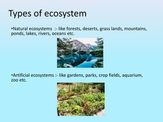 Our environment | PPTX