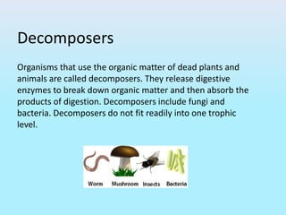 Our environment | PPTX