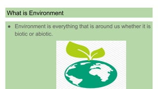 Our Environment.pdf