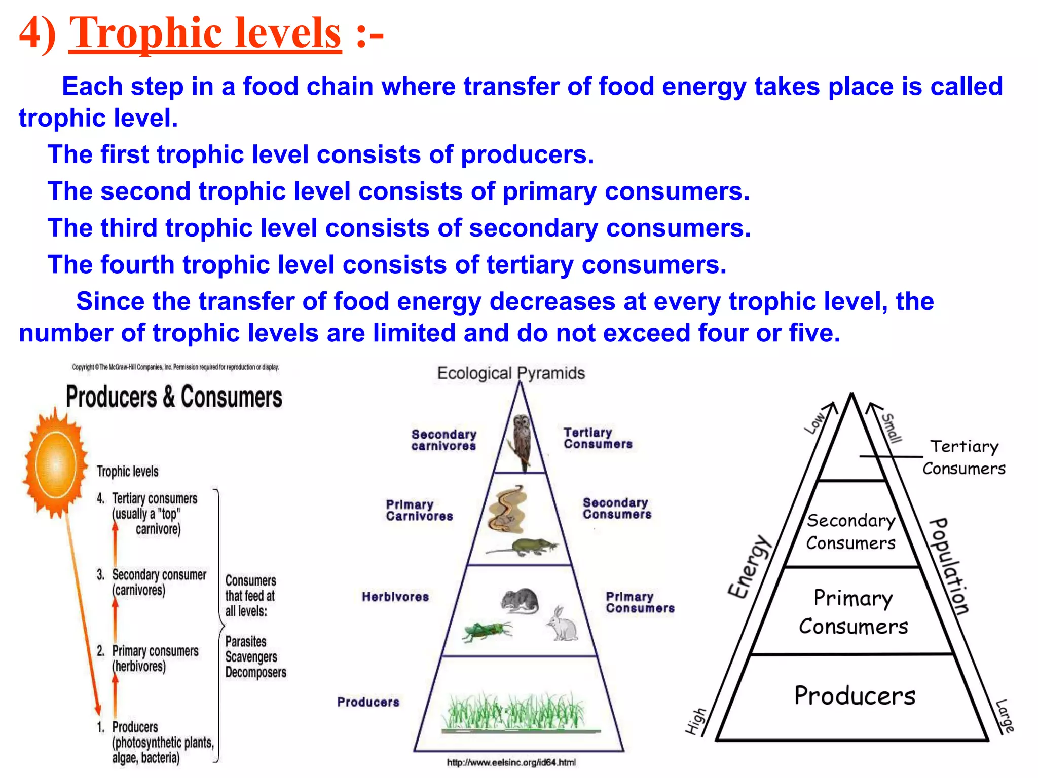 OUR ENVIRONMENT.ppt.pdf