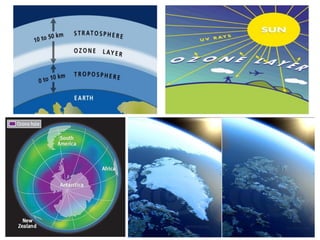 OUR ENVIRONMENT.ppt.pdf