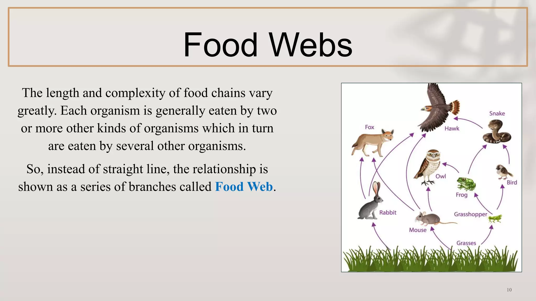 Our Environment Class - 10th | PPTX