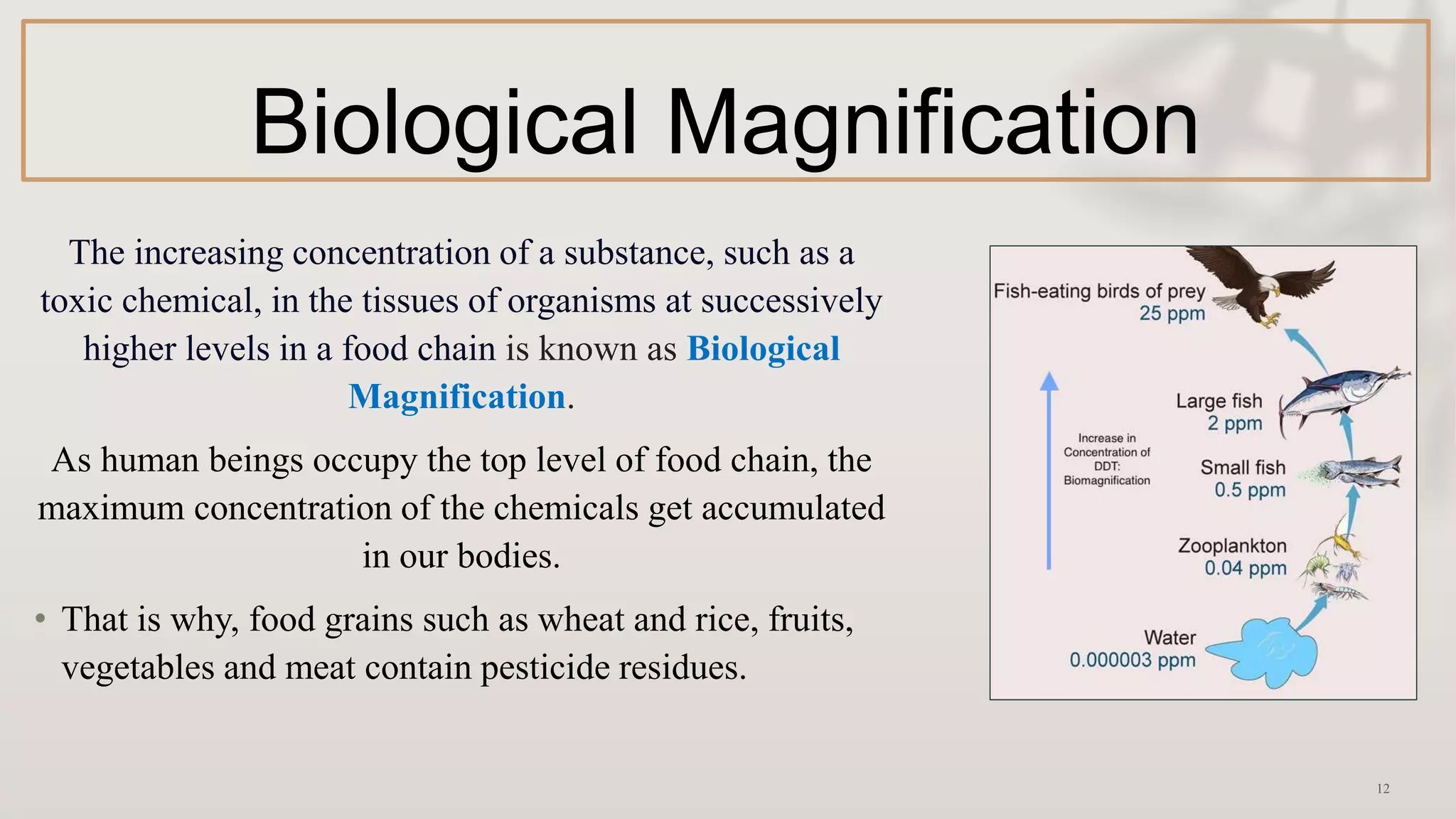 Our Environment Class - 10th | PPTX