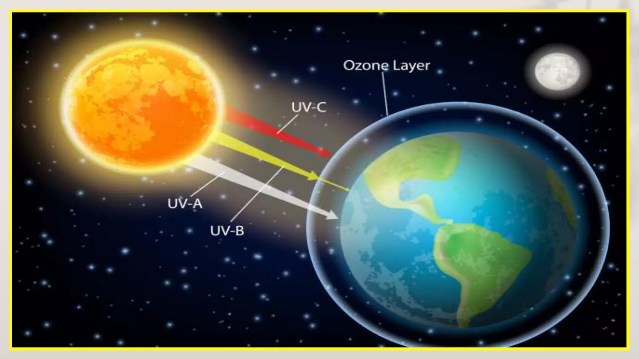 Our Environment Class - 10th | PPTX