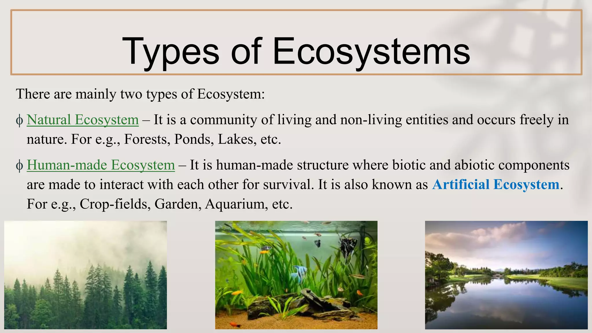 Our Environment Class - 10th | PPTX