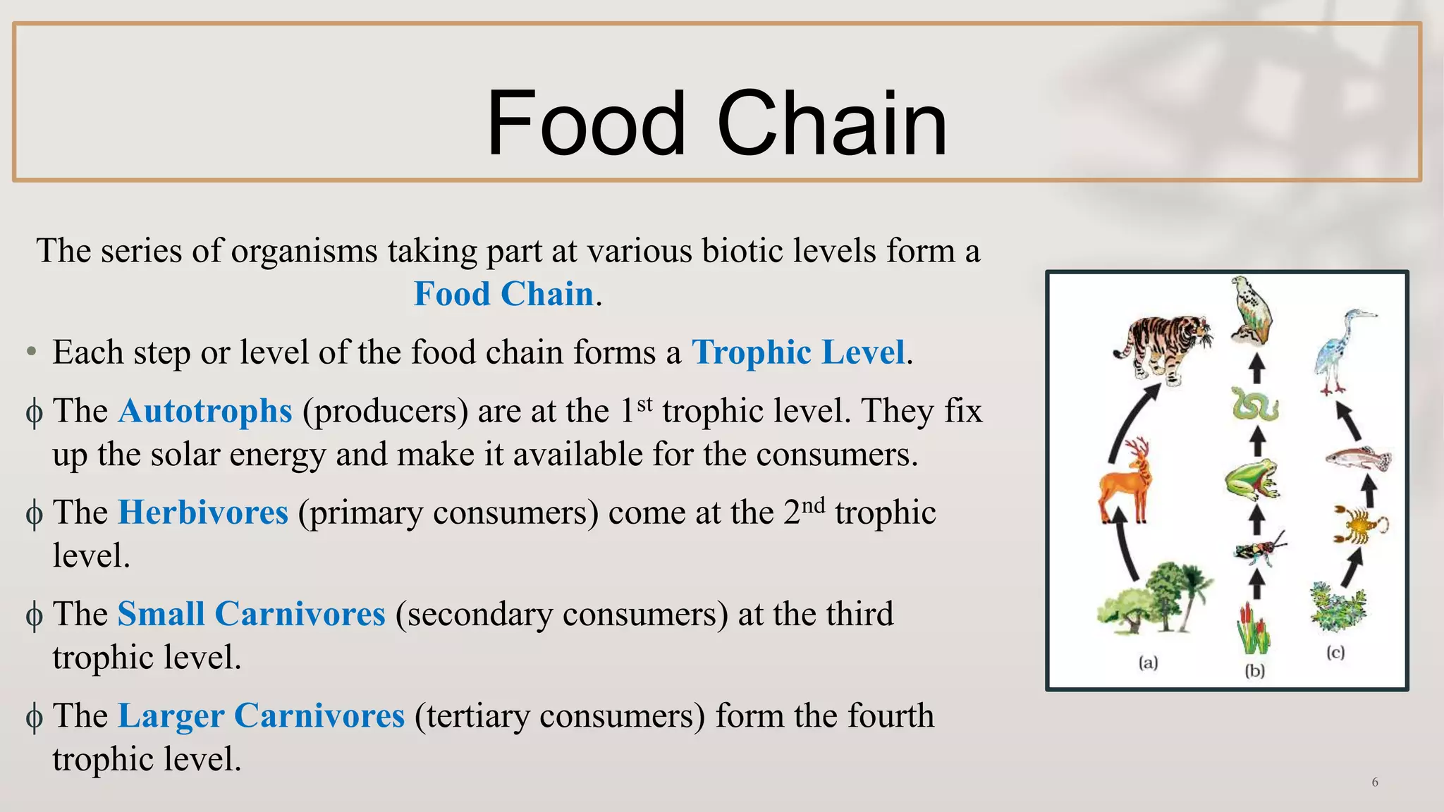 Our Environment Class - 10th | PPTX