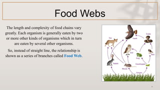 Our Environment Class - 10th | PPTX