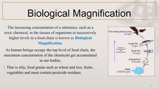 Our Environment Class - 10th | PPTX