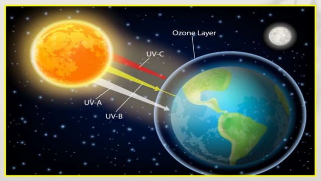 Our Environment Class - 10th | PPTX