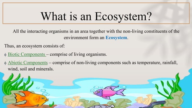 Our Environment Class - 10th | PPTX