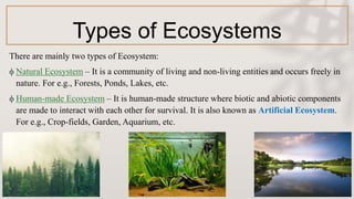 Our Environment Class - 10th | PPTX