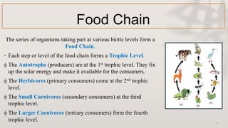 Our Environment Class - 10th | PPTX