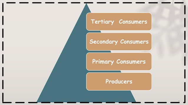 Our Environment Class - 10th | PPTX