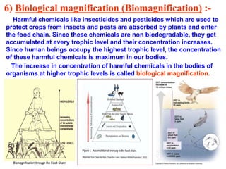 OUR ENVIRONMENT.ppt.pptx