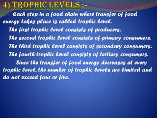 Presentation on OUR ENVIRONMENT Lecture | PDF