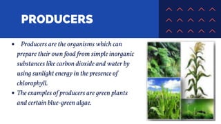 OUR ENVIRONMENT class 10 presentation full lesson explained | PDF