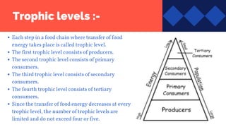 OUR ENVIRONMENT class 10 presentation full lesson explained | PDF